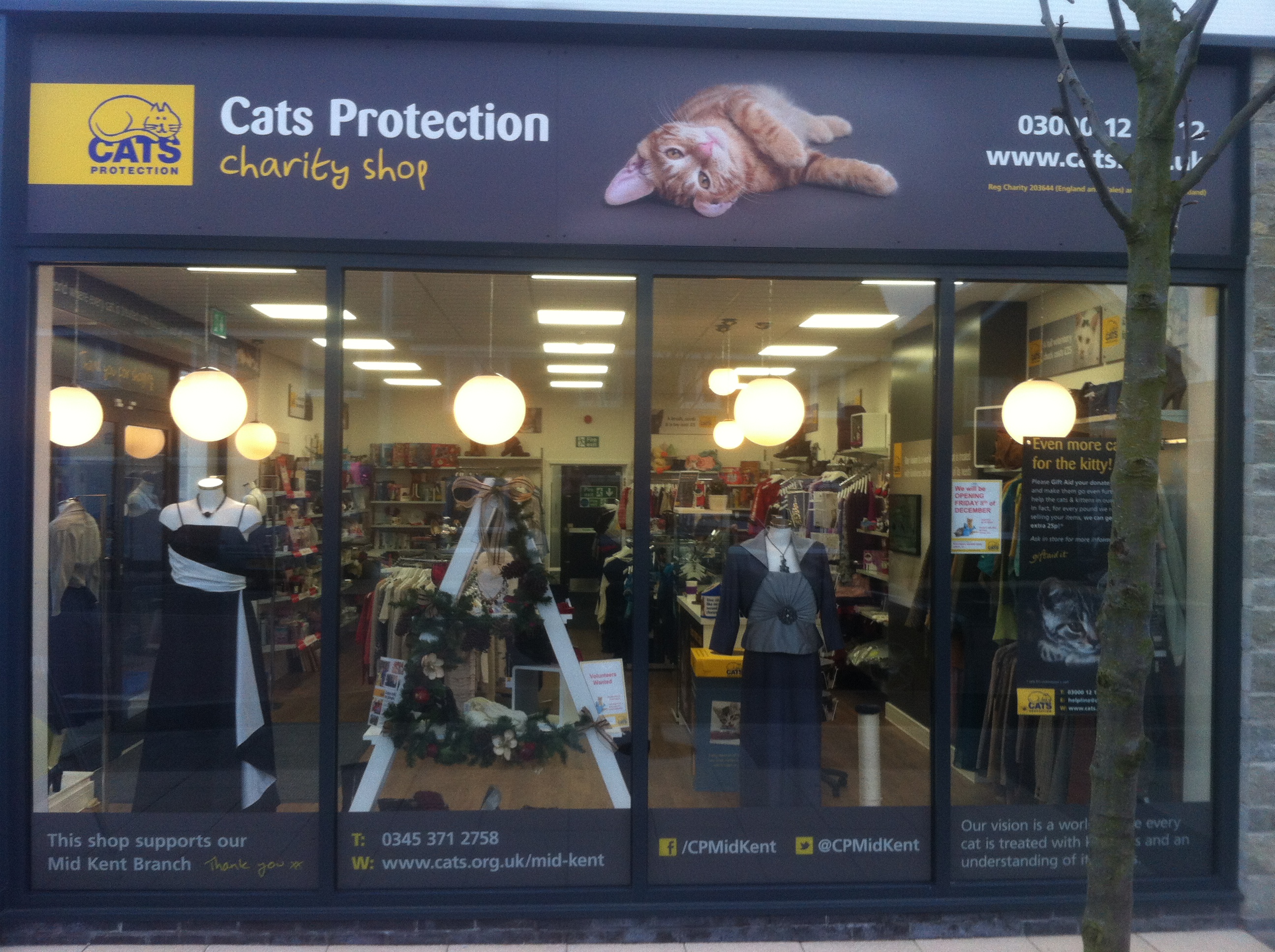 Cats Protection Mid Kent Branch